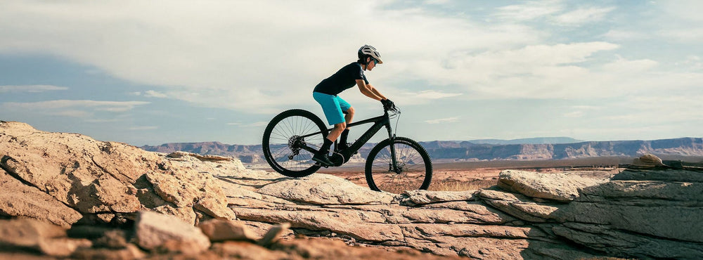 Action Cycles