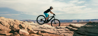 Action Cycles
